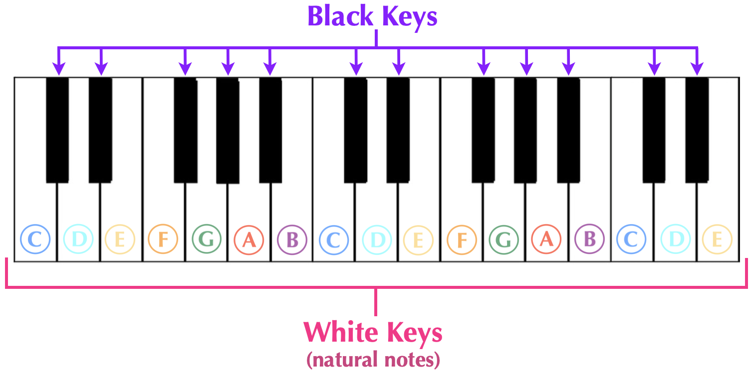 How to Read Music - Part 2 | Liberty Park Music