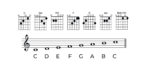 Understanding C Major: First Position, Chords, and Scale – Liberty Park ...